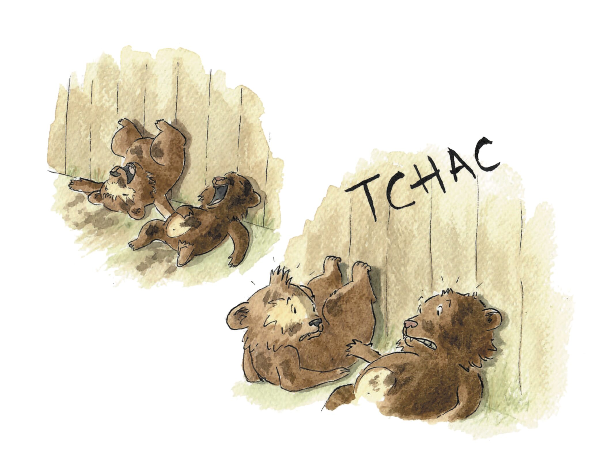 Tchac - Expression de Sagesse